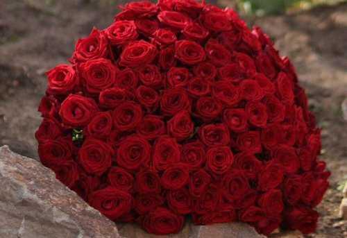 Цветы с доставкой Букет 101 роза 51 роза 45 25