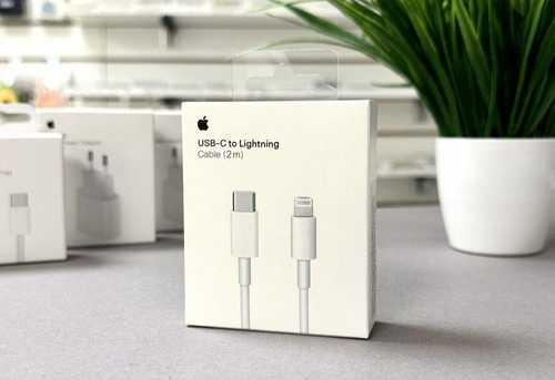 Apple USB-C to Lightning Cable (2m)