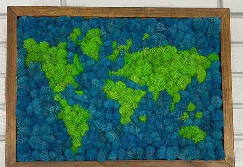 Карта мира из мха 'Мир в зелени / 130х80 см- 130х8