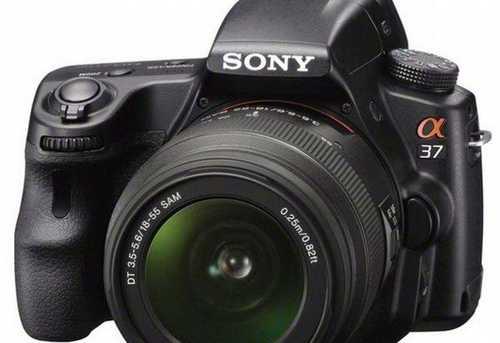 Зеркальный фотоаппарат Sony Alpha SLT-A37 Kit