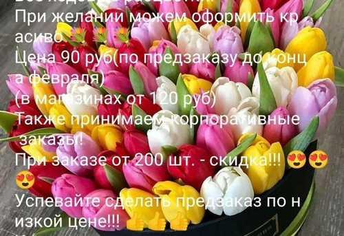 Продам тюльпаны