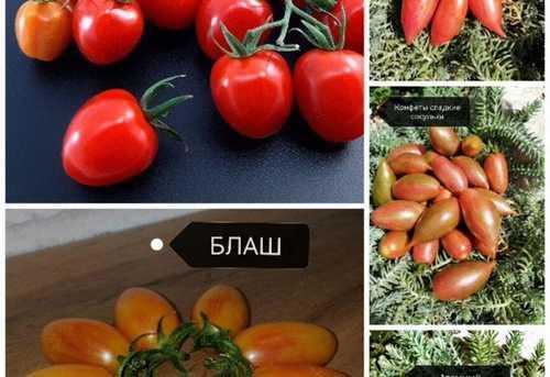 Набор семян томатов для вяления