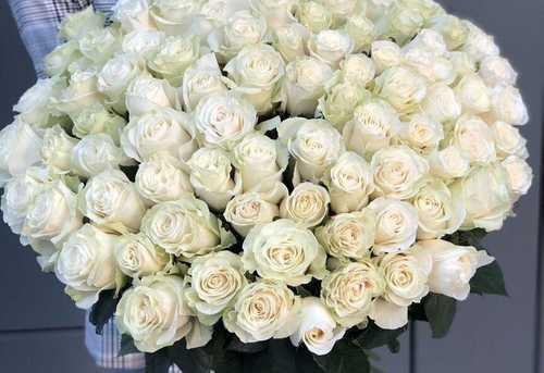 101 роза, белые розы, высокие розы, розы Эквадор