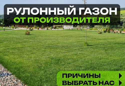 Рулонный газон Универсальный. От производителя