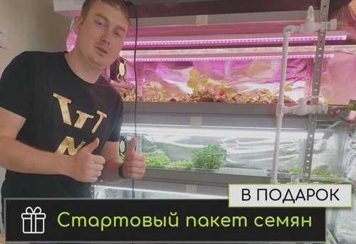 Стеллаж для гидропоники