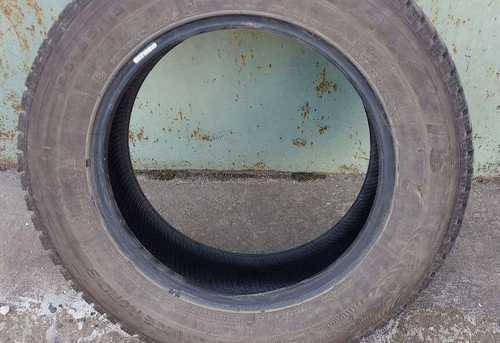 Maxxis Premitra Ice Nord 5
