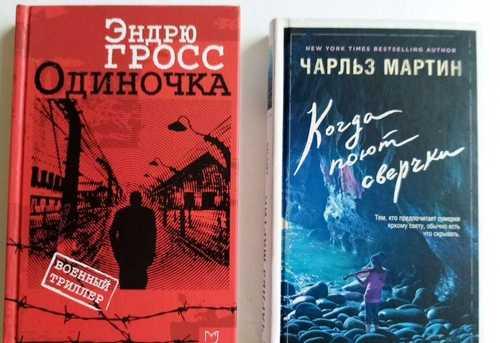 Книга Эндрю Гросс"Одиночка"и другие