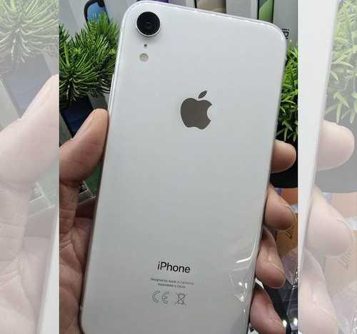 iPhone Xr, 128 ГБ