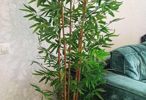 Искусственное дерево бамбук, фикус