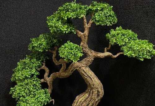 Дерево Бонсай из стабилизированного мха.Подарок