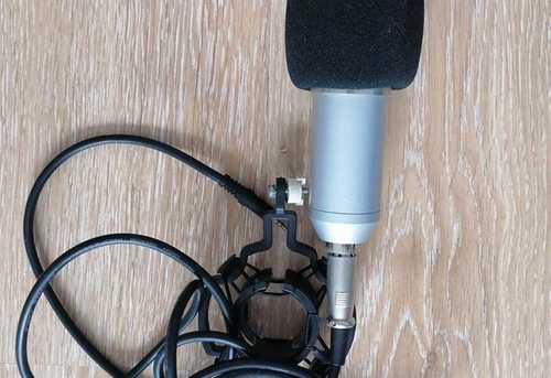 Микрофон студийный с держателем