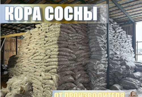 Кора сосны 10+см