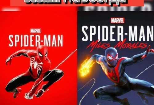 Spider man remastered, miles morales pc, steam