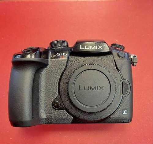 Panasonic lumix gh5s