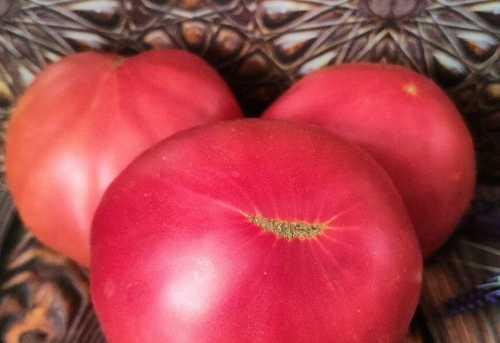 Семена томатов и глоксиний, Удобрения Гетероауксин