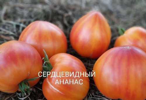 Семена коллекционных томатов. Биколор
