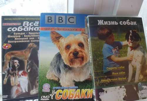 DVD диски о собаках