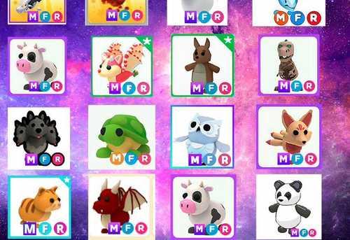 Мфр Петы Адопт Ми Роблокс MFR Pets Adopt Me Roblox