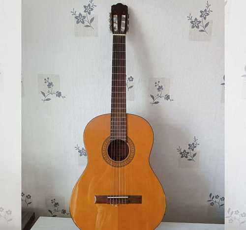 Акустическая гитара walden n350