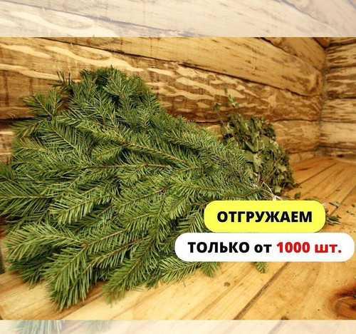 Оптом веники из пихты