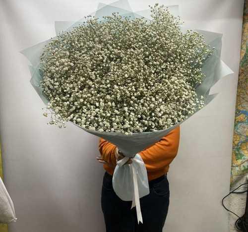 Гипсофила Пышный букет цветы