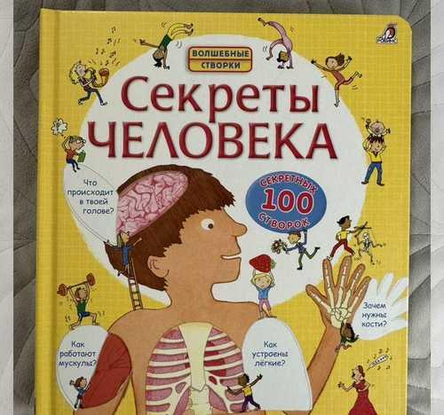 Новые книга с окошками