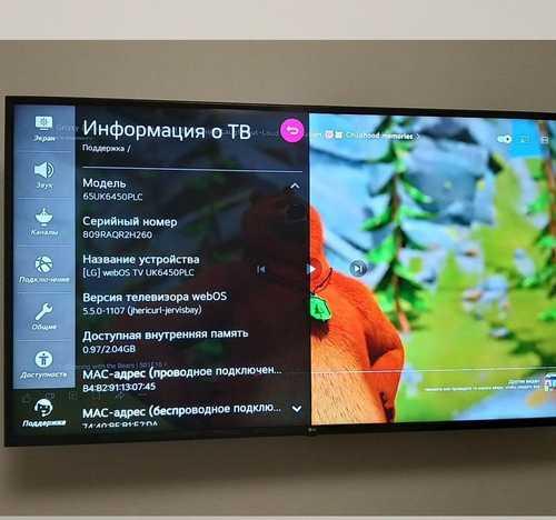 SmartTV 4K UHD LG 165 см, Умный Дом