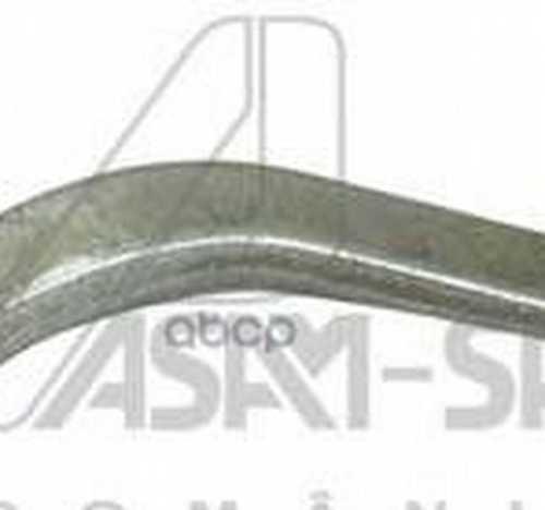 Наконечник рулевой R 30139 asam-SA