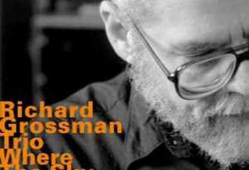 CD Richard Grossman Trio - Where The Sky Ended