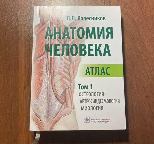 Атлас анатомии человека Колесников