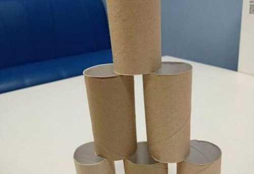 Втулка от туалетной бумаги