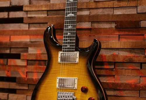 Гитара PRS SE DGT Birds McCarty Tobacco Sunburst