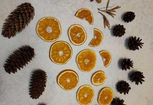 Шишки и сушёные апельсины для декора /поделок