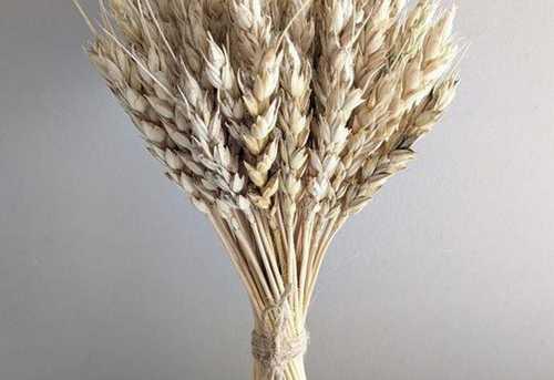 Букет из колосьев пшеницы