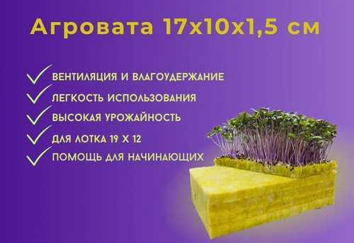 Агровата для выращивания микрозелени 17x10x1,5 см