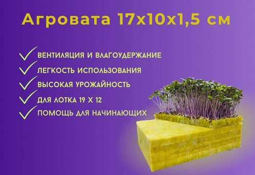 Агровата для выращивания микрозелени 17x10x1,5 см