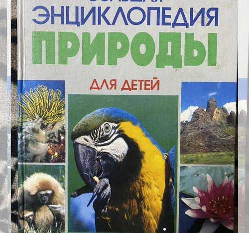 Большая энциклопедия для детей Grif-fond 1994 года