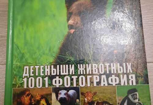 Книга Детёныша животных 1001 фотография