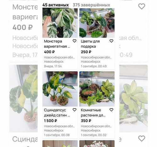 Редкие комнатные растения