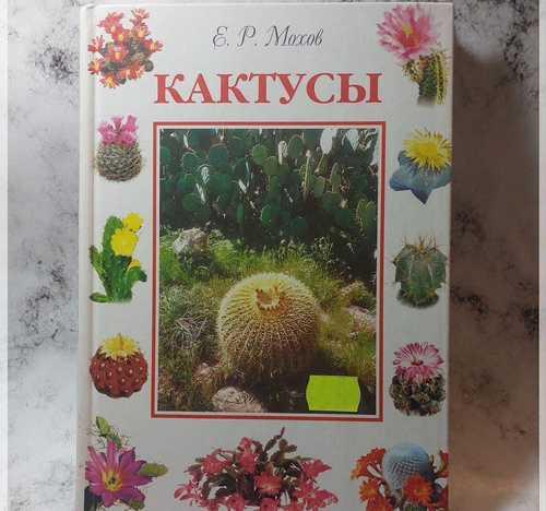 Кактусы