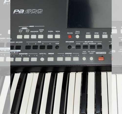 Синтезатор korg PA600