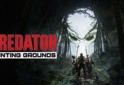 Predator: Hunting Grounds PlayStation Турция (Play