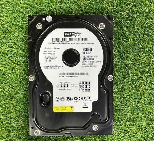 Western Digital WD Blue 80 гб WD800BB