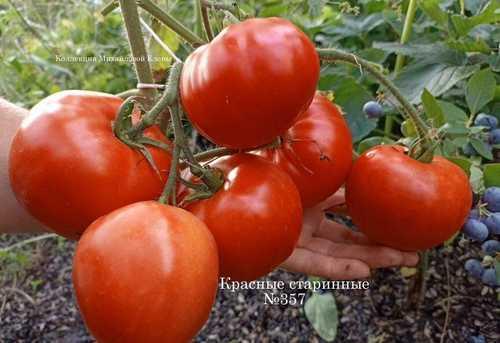 Семена томата Красные старинные