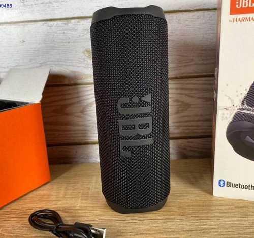 JBL flip 6