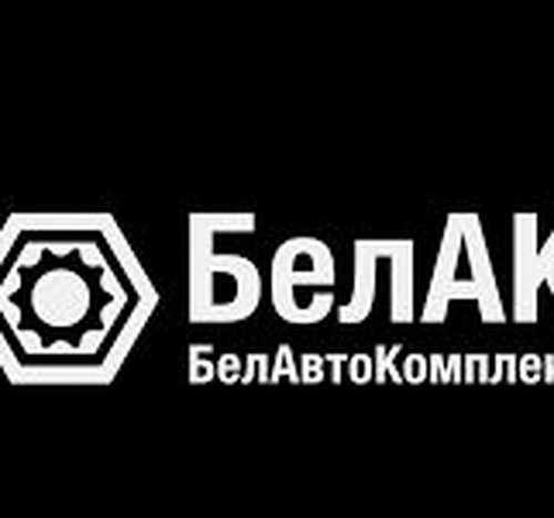 БЕЛАВТОКОМПЛЕКТ бак.07003 Набор инструмента