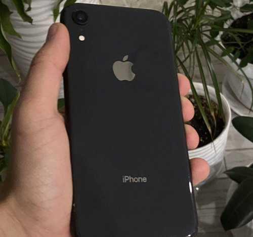 iPhone Xr, 128 ГБ