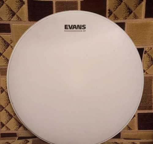 Пластик Evans B16G1 '16'