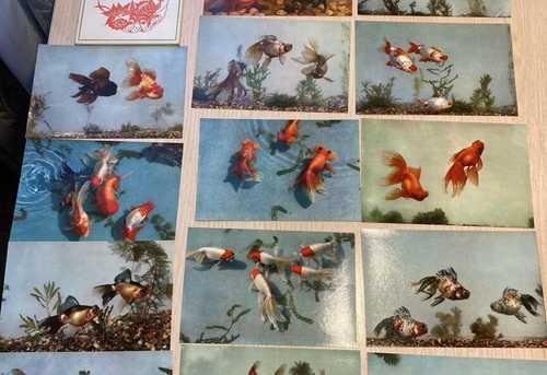 Иностранные открытки времен СССР. 50-е, 60-е