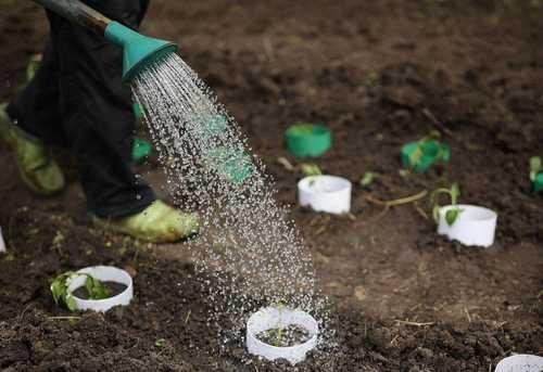 Чернозем и торфогрунт